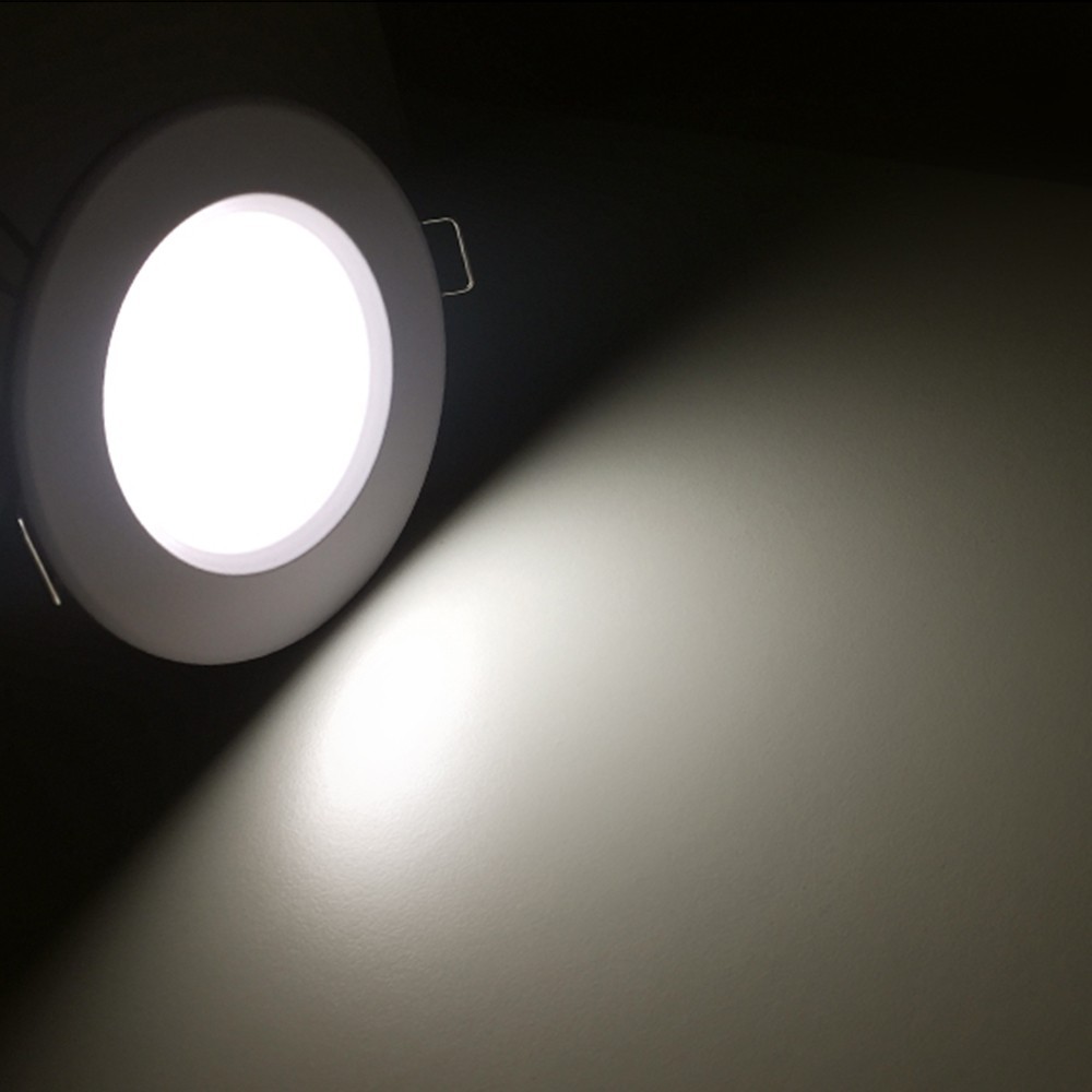 LED Down Light (2)